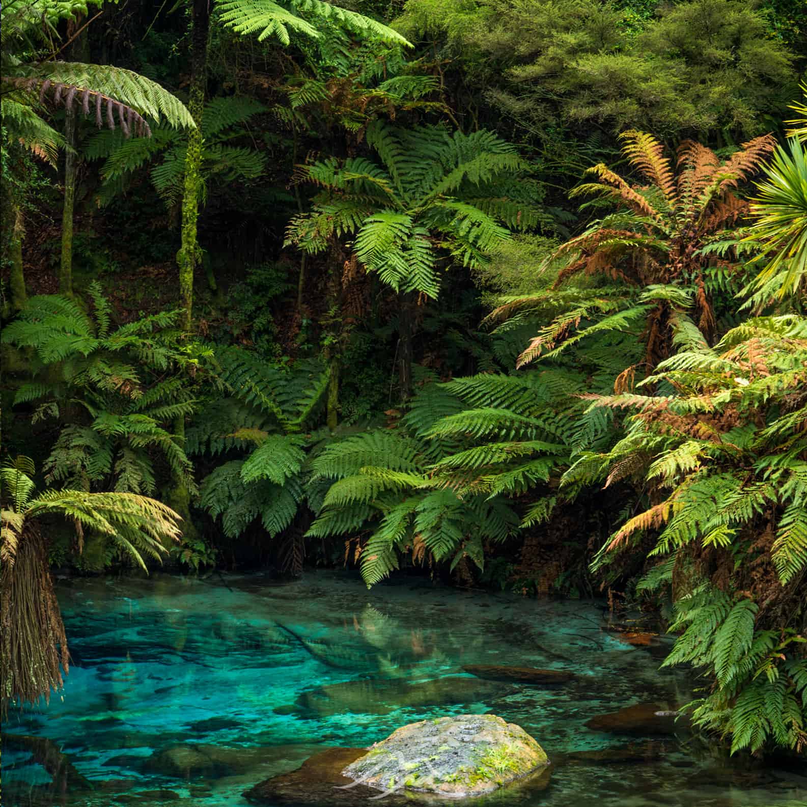 Explore - Hidden Lake Hotel & Apartments