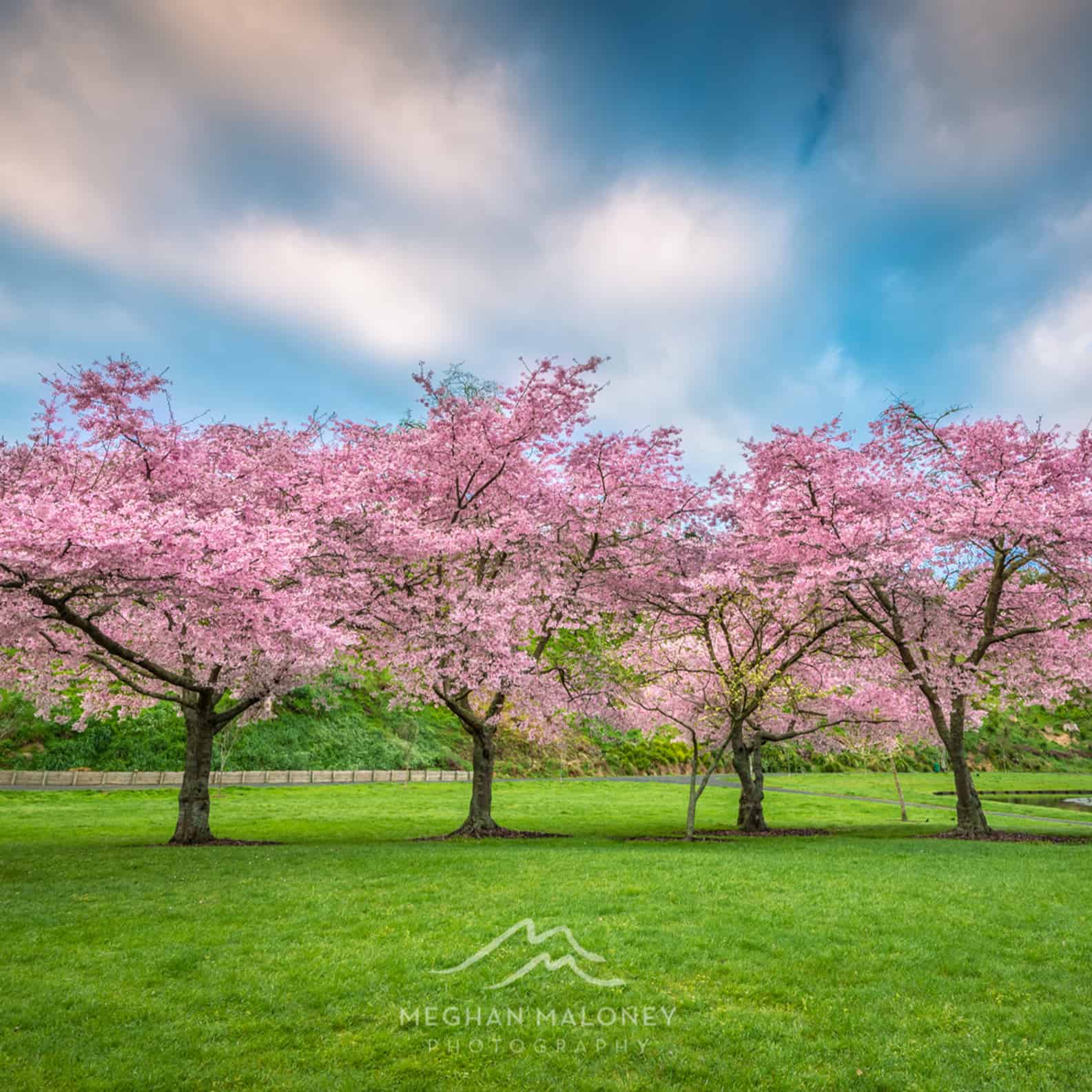 Explore - Hidden Lake Hotel & Apartments