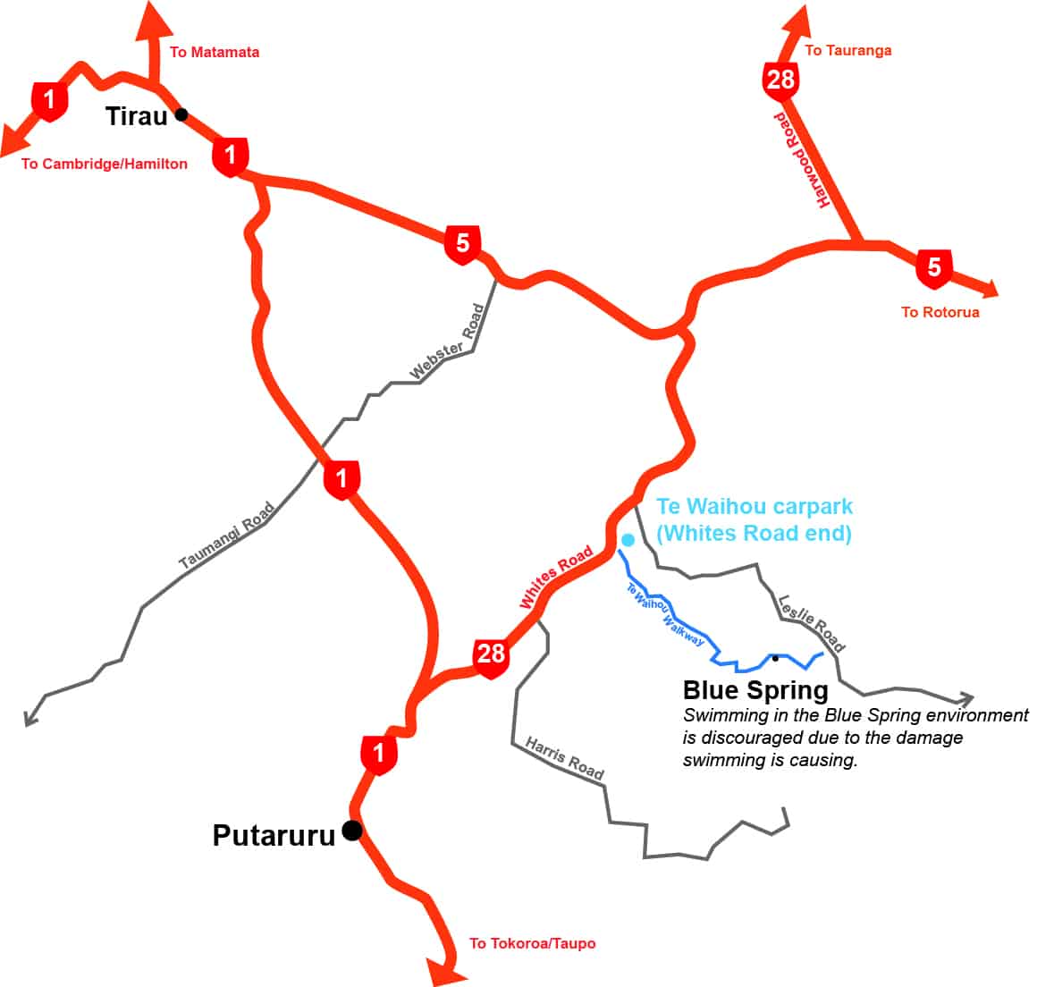 Exploring the Blue Spring and Te Waihou Walkway - The Ultimate Guide