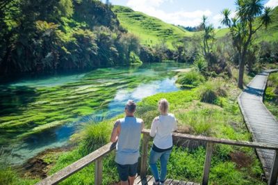 Exploring the Blue Spring and Te Waihou Walkway - The Ultimate Guide