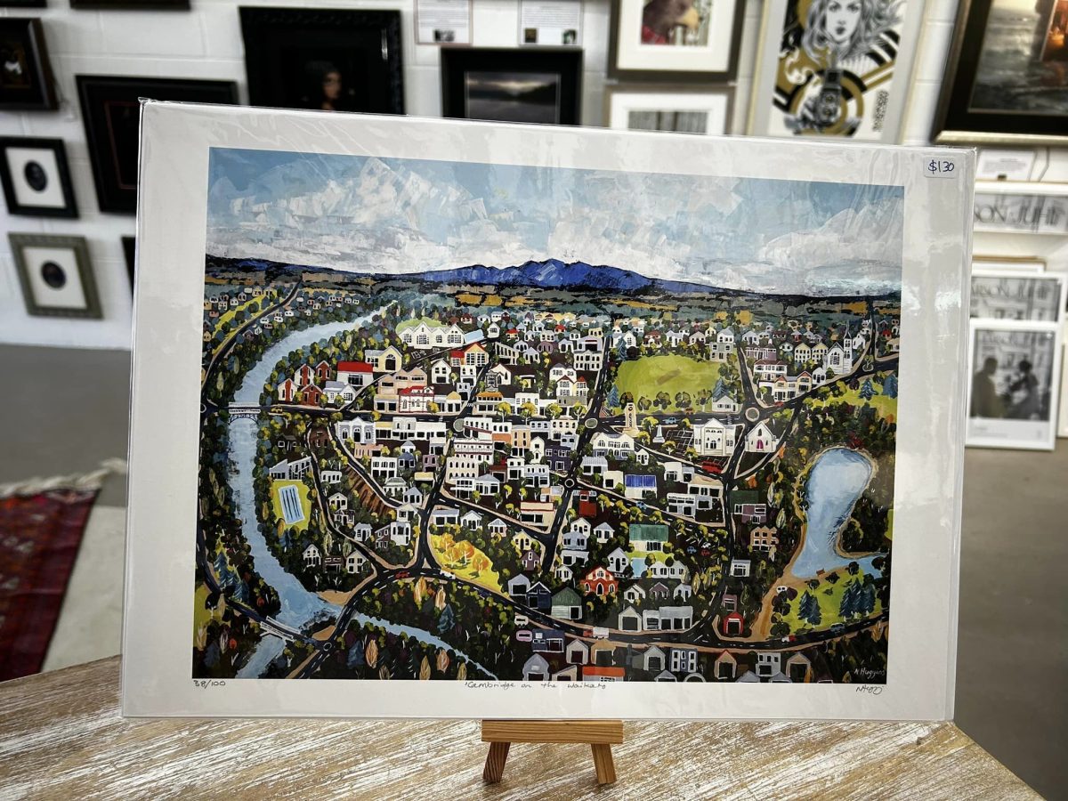 9 Must Visit Art Galleries to in Cambridge, NZ
